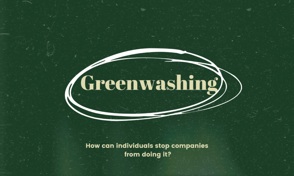 5 Ways individuals can stop companies from greenwashing? | Floom Creative