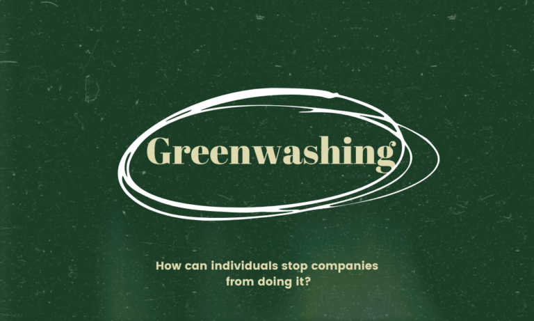 5 Ways individuals can stop companies from greenwashing? | Floom Creative