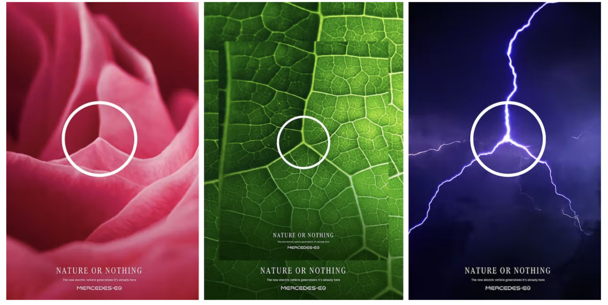 The different types of Greenwashing | Floom Creative