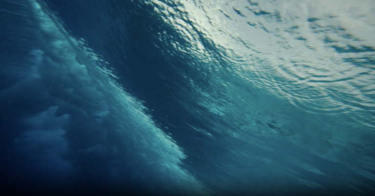 7 Companies Making Waves in Ocean Sustainability | Floom Creative