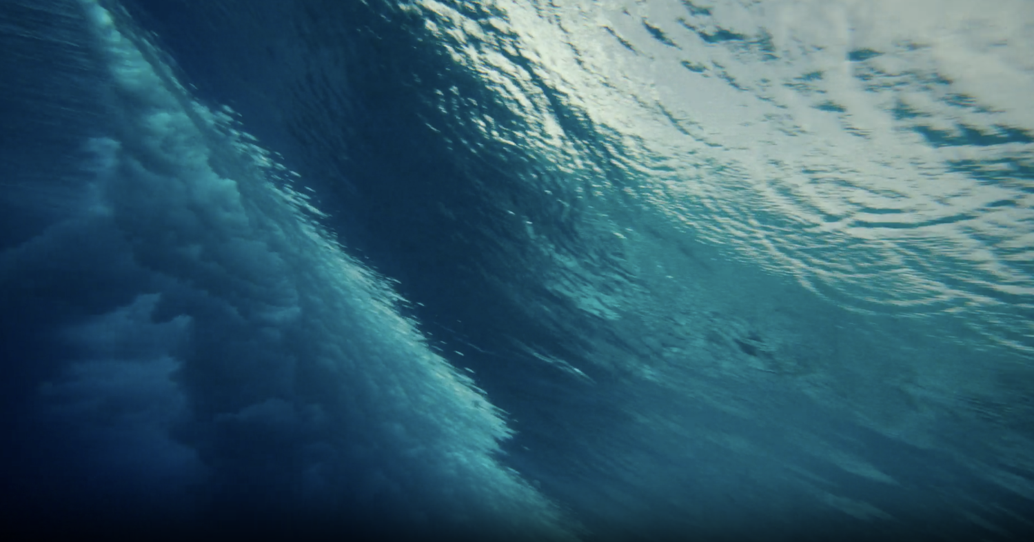 7 Companies Making Waves in Ocean Sustainability | Floom Creative